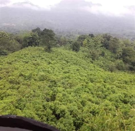 ගාල්ල අවට අඩුවට ඉඩම්