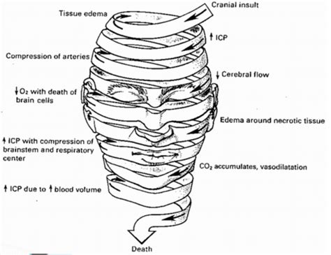 Patho Class 14 Flashcards Quizlet