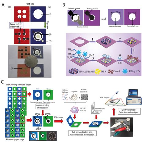 Origami Paper Based Electrochemical Biosensors State Of The Art And Perspective Pmc