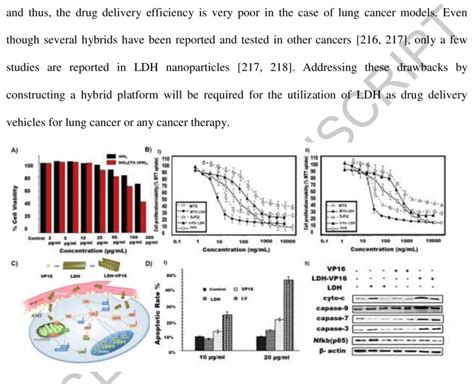 Cell Viability And Uptake Of Core Shell Nanoporous Materials A