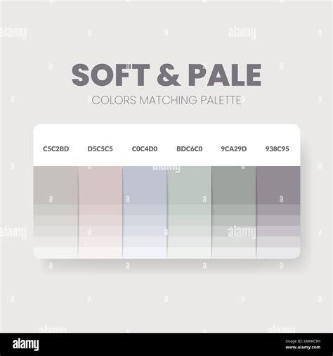 Farbpalette In Einer Kollektion Mit Dem Thema „passion