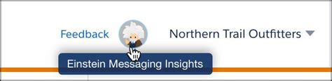 Get To Know Einstein Messaging Insights Salesforce Trailhead