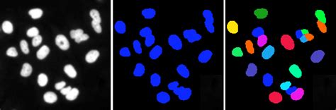 Python Archives Nicola Romanò