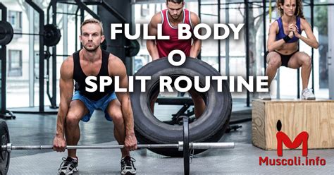 Allenamento Full Body O Split Routine Muscoli Info