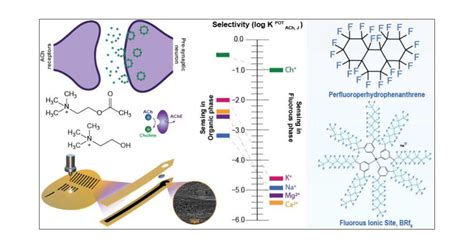 Flexible Acetylcholine Neural Probe With A Hydrophobic Laser Induced