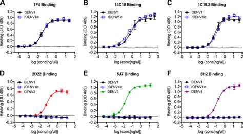 Rdenv1ic Is Bound Only By Denv1 Serotype Specific Antibodies Denv1 And Download Scientific
