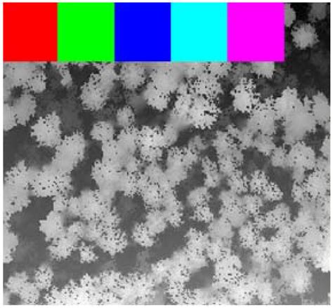 Comparative Analysis Of Clustering Based Approaches For 3 D Single Tree