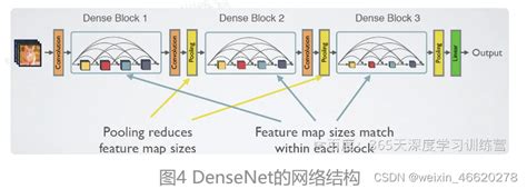 第13周：densenet算法实战与解析densenet实验数据 Csdn博客