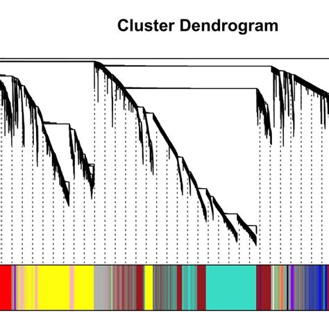 hierarchical cluster tree of co expressed genes and bacteria