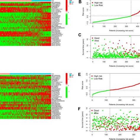 Bubble Plots Showing The Enriched Terms Based On Gsea Analysis Ranked Download Scientific