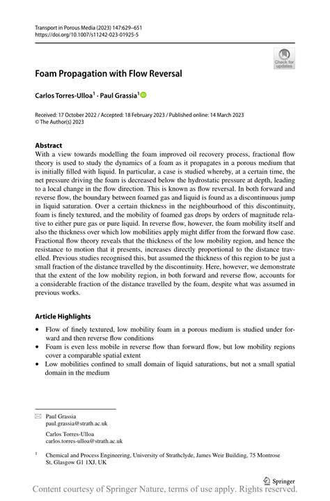 Pdf Foam Propagation With Flow Reversal