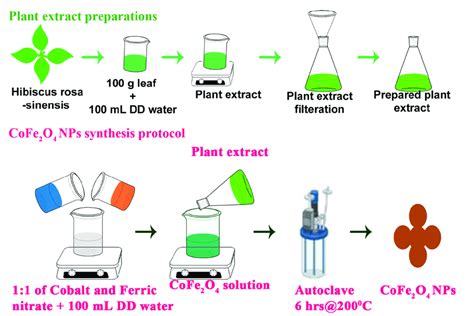 Scheme 1 Synthesis Protocol Of Cofe 2 O 4 Nps Download Scientific Diagram