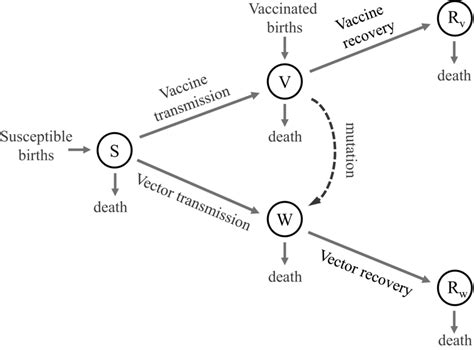 Susceptible Infectious Recovered Sir Model Flow Chart For A Download Scientific Diagram