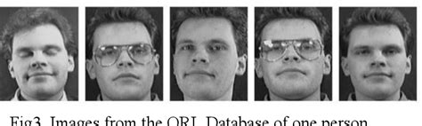 Figure 1 From Advances In Dimensionality Reduction Techniques For Face Recognition A