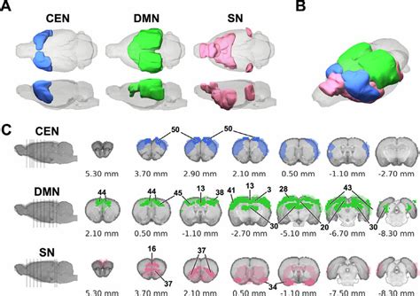 Distribution Of Hub Structures Among Three Intrinsic Functional