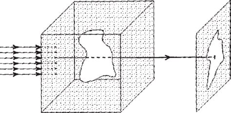 the volume rendering technique involves several rays passing through 3d