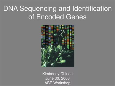 Ppt Dna Sequencing And Identification Of Encoded Genes Powerpoint Presentation Id3119952