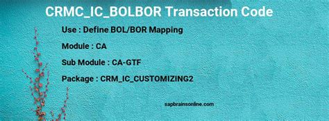 CRMC IC BOLBOR SAP Tcode For Define BOL BOR Mapping