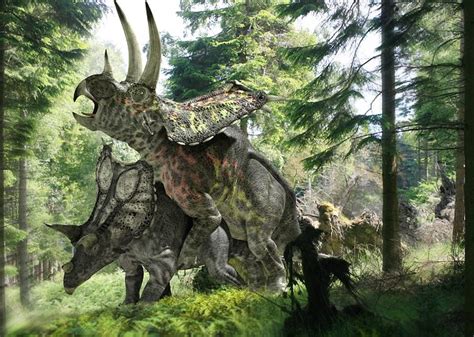 Yelltale A Place For Fun Fine Articles Scientists Show How Dinosaurs Had Sex