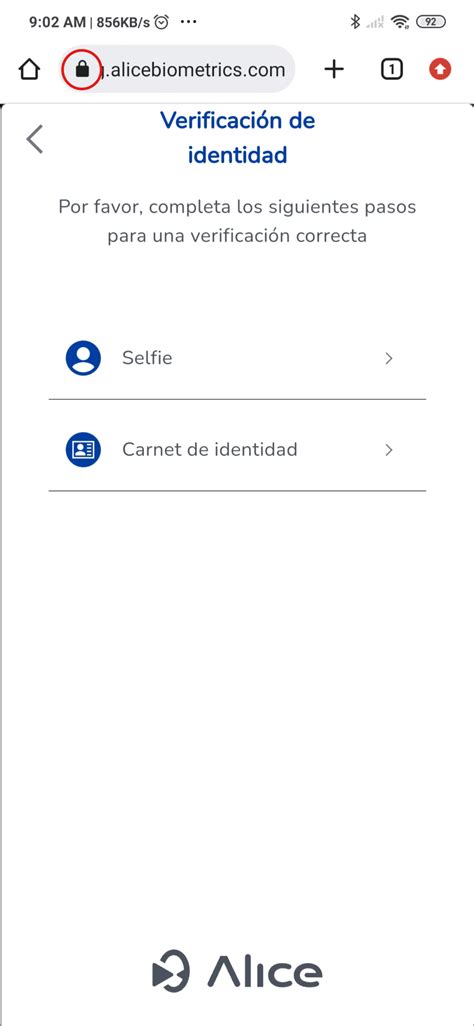How To Allow Camera Access Permissions On My Device Alice Biometrics
