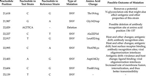 Effects Of The Mutations Observed In The Sequence Of The Spike S
