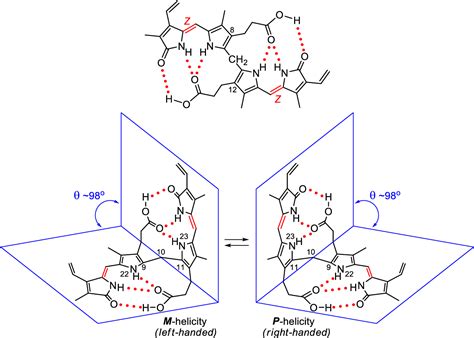 Figure 3 From Insights Into The Structures Of Bilirubin And Biliverdin From Vibrational And