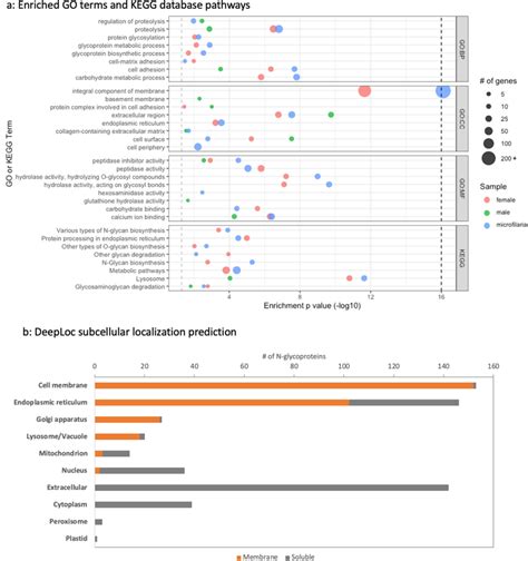 Gene Ontology And Subcellular Localization Prediction And Analysis A Download Scientific