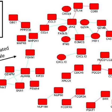 The Largest Connected Component Produced By The 405 Genes Reported By
