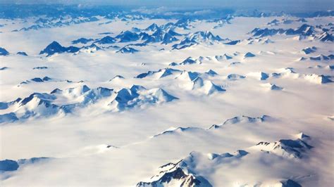 СМИ сообщили кого Си Цзиньпин направит на инаугурацию Трампа