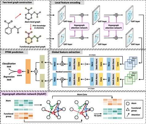 Figure From A Hierarchical Graph Neural Network Framework For Predicting Protein Protein