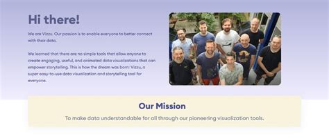 Vizzu On Linkedin About Us