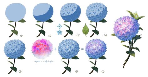 Flower Drawing Tutorials Easy Drawing Tutorial Art Tutorials Flower Drawings Drawing Flowers