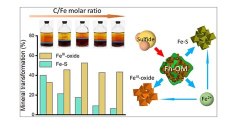 Transformations Of Ferrihydriteextracellular Polymeric Substance