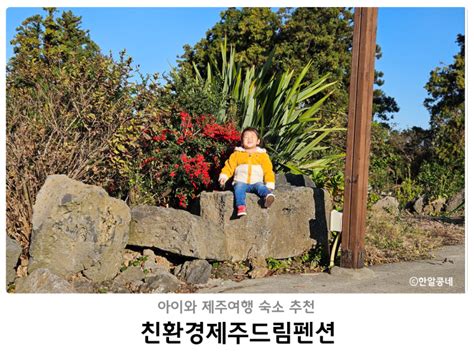 11월 아이와 제주여행 숙소 친환경제주드림펜션 네이버 블로그