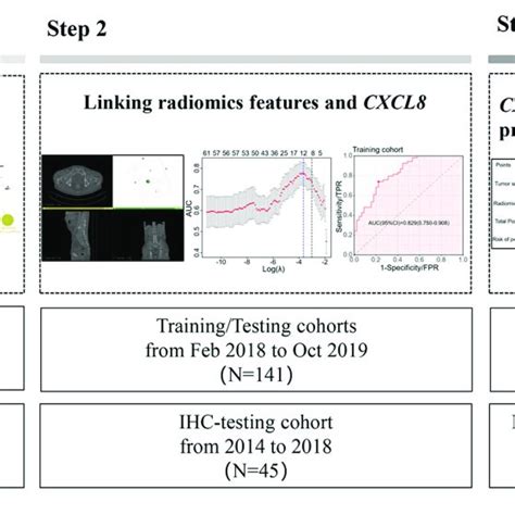 Workflow Of The Study Ihc Immunohistochemistry Crc Colorectal Cancer Download