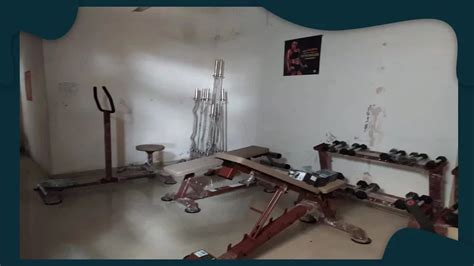 Bicep Curl Machine For Gym Model Name Number At Rs In Vadodara