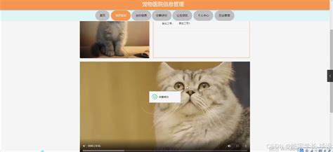 Springboot毕设宠物医院信息管理程序论文 Csdn博客