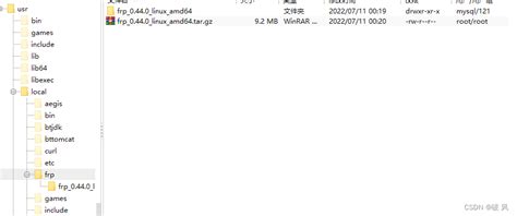 Frp内网穿透详细安装步骤以及使用frp安装教程 Csdn博客