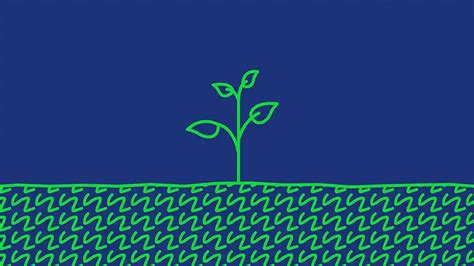 Css { In Real Life } Code Gardening
