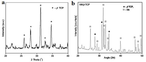 x ray diffraction pattern of a β tcp and b ΗΑ β tri calcium phosphate