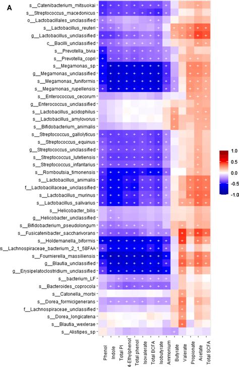 Heatmap Of Significant Correlation Values R Between Fecal Microbial Download Scientific