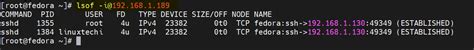 18 Quick Lsof Command Examples For Linux Geeks