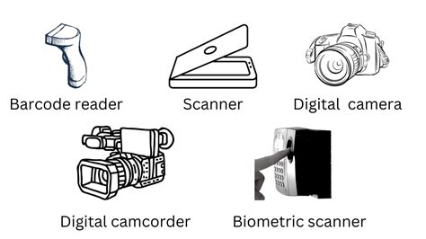 What Are Input Devices Uses Types Examples