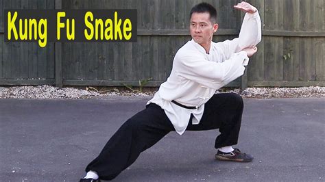 Kung Fu Snake Stance