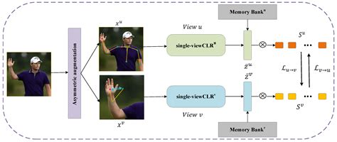 self supervised action representation learning based on asymmetric