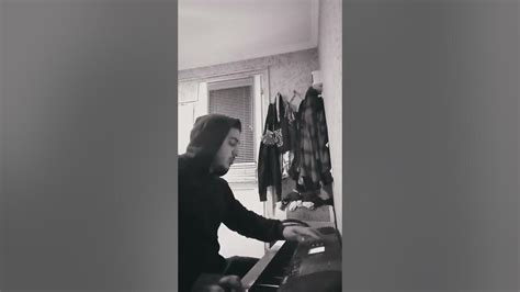 მგელი და ძაღლი Youtube