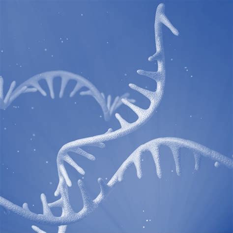 London Calling 2023 Nanopore Sequencing Of Trna Modifications