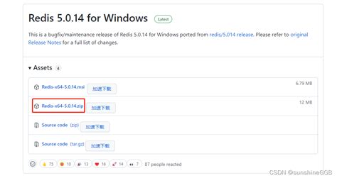 Net Core Redis的简单使用net Core中如何使用redis Csdn博客