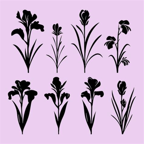 Premium Vector Iris Flower Set Black Silhouette Clip Art Vector