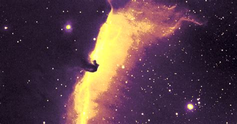 Horsehead Nebula Telescope Live